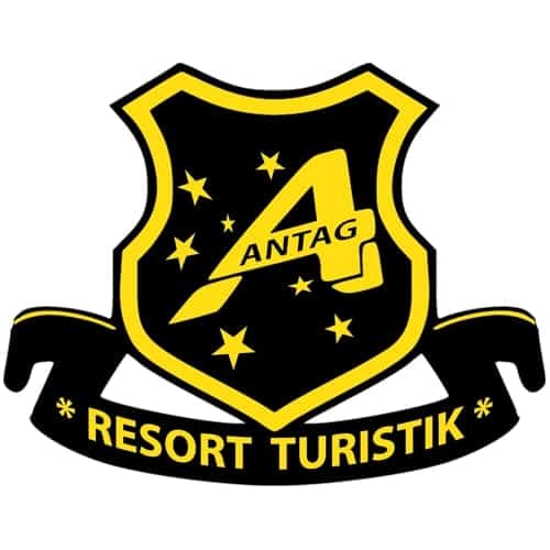 Webseite erstellen professionell und günstig|Homepage|Druckmedien|SEO